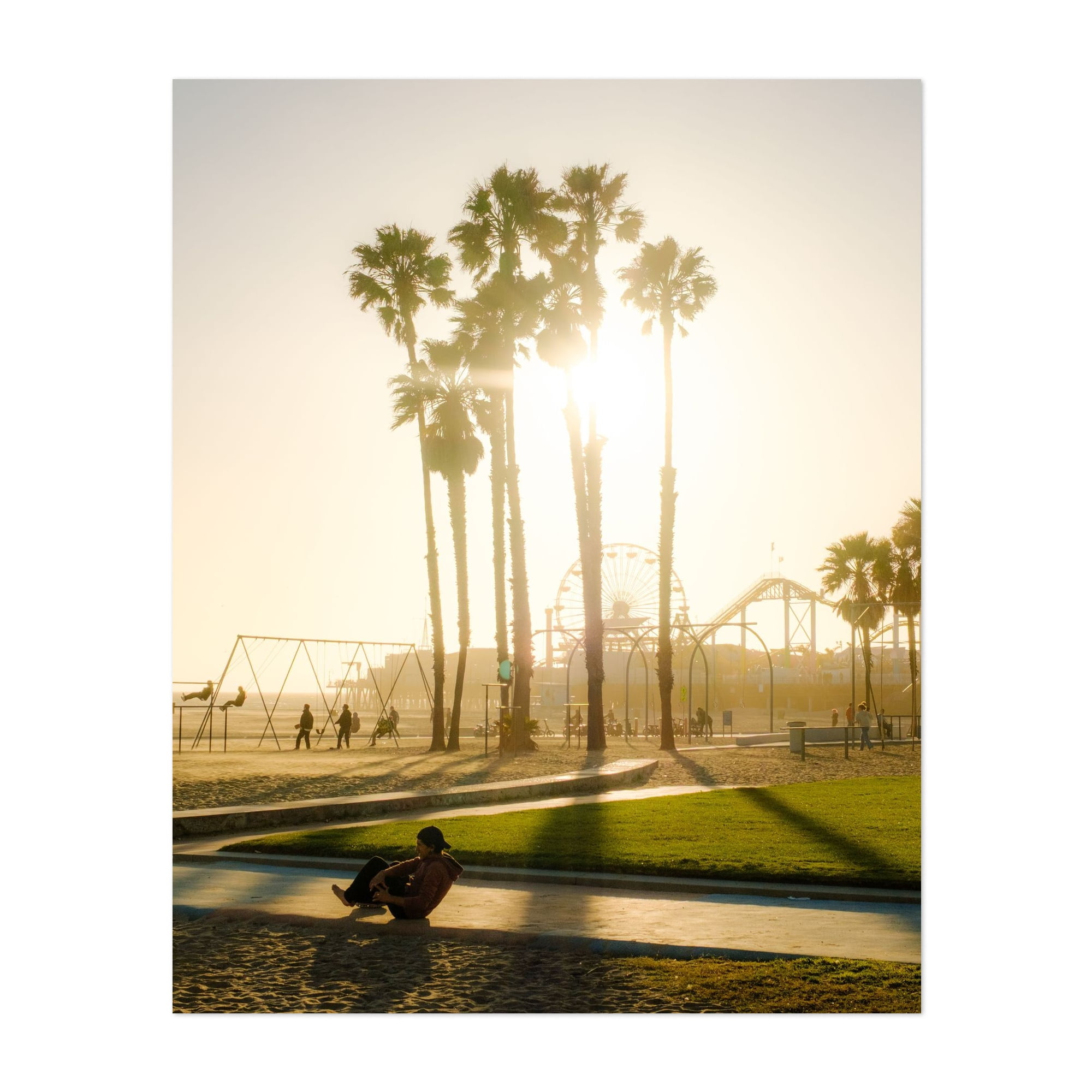 Palm Trees at Muscle Beach, Santa Monica - Santa Monica California ...