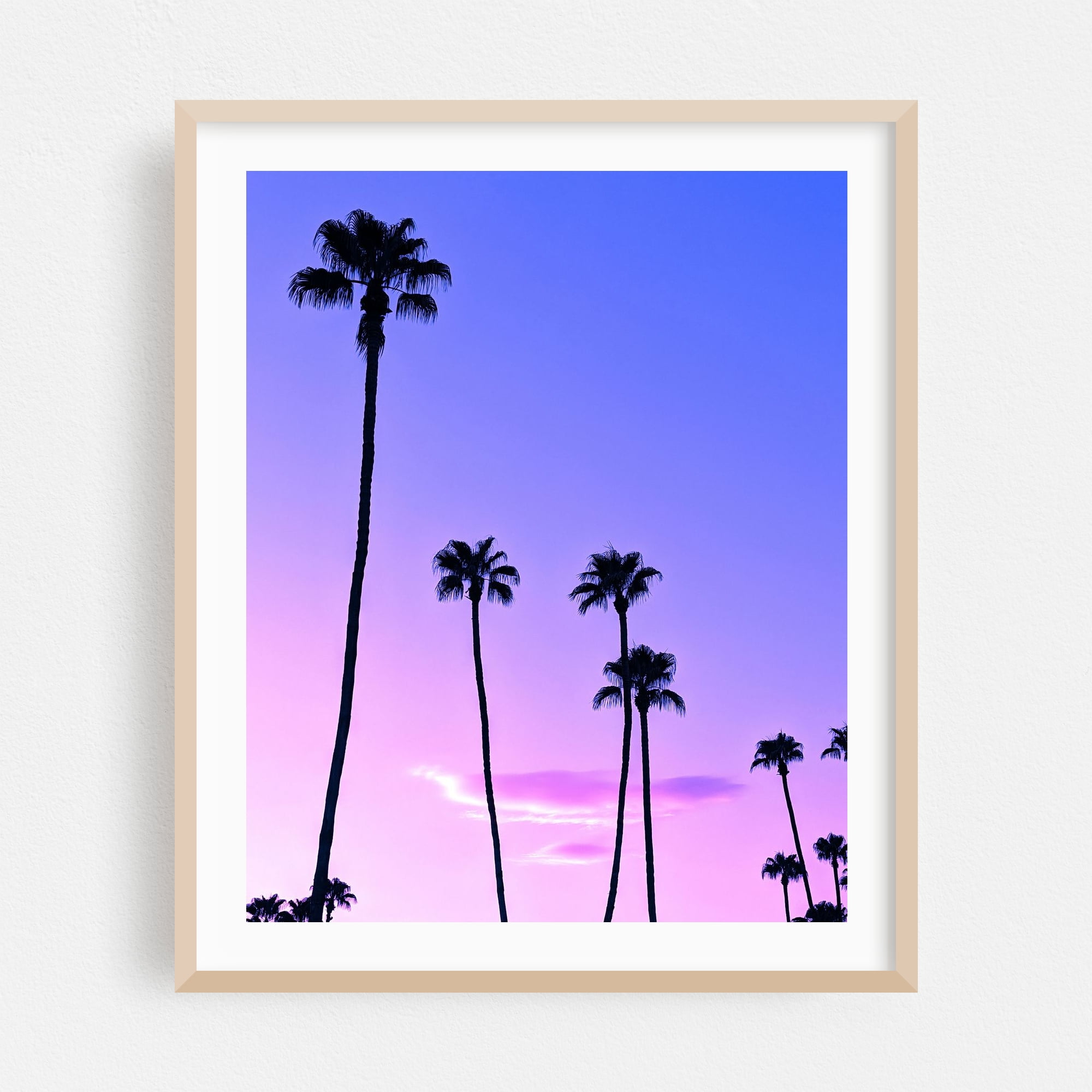 Palm Trees Sunset - Palm Springs California Photography Palm Tree ...