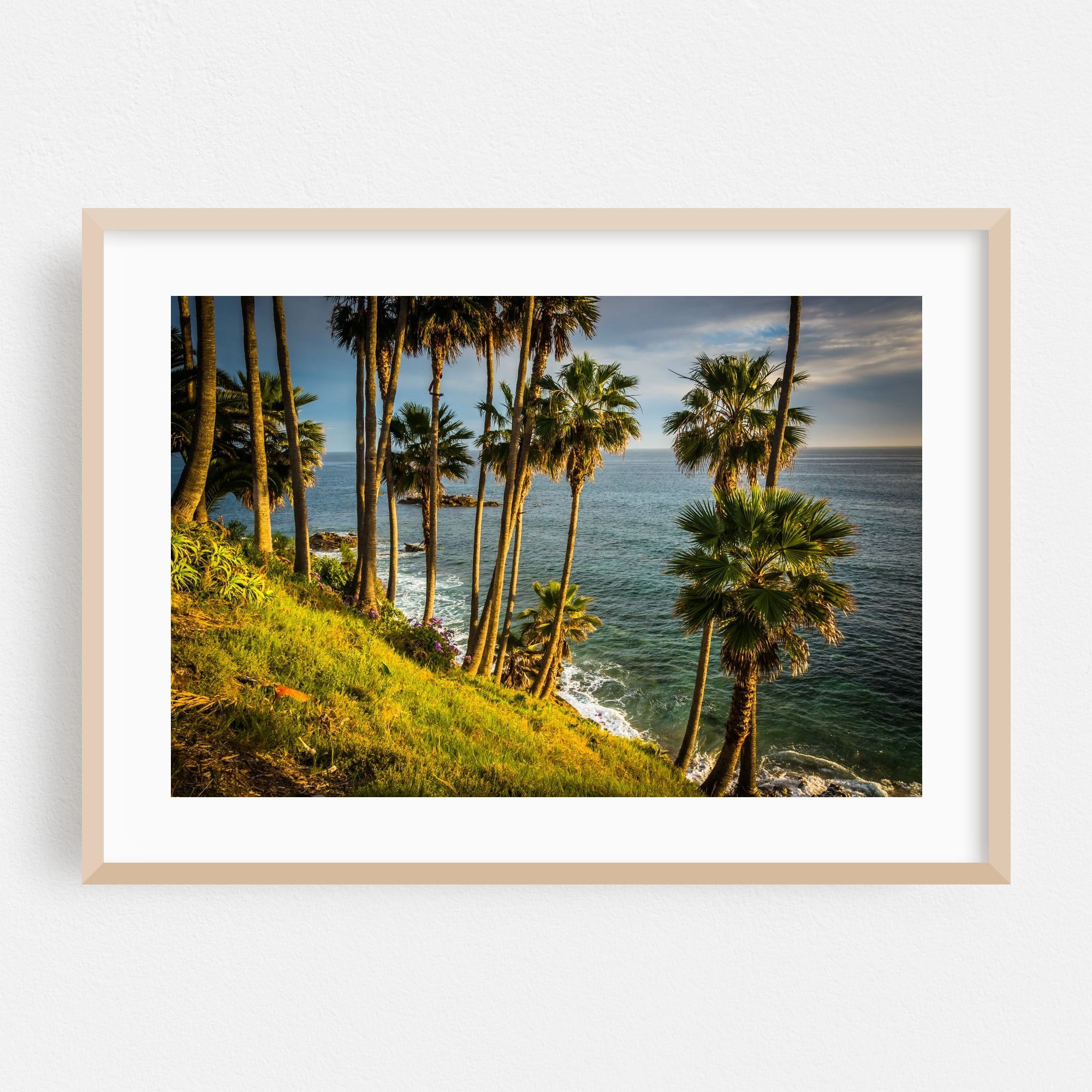 Palm Trees at Heisler Park - Laguna Beach California Photography Oak ...