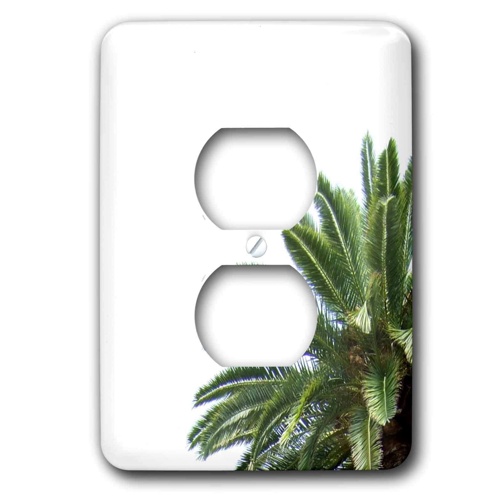 3dRose, Palm tree on white sky - green leaves Mediterranean Tropical ...