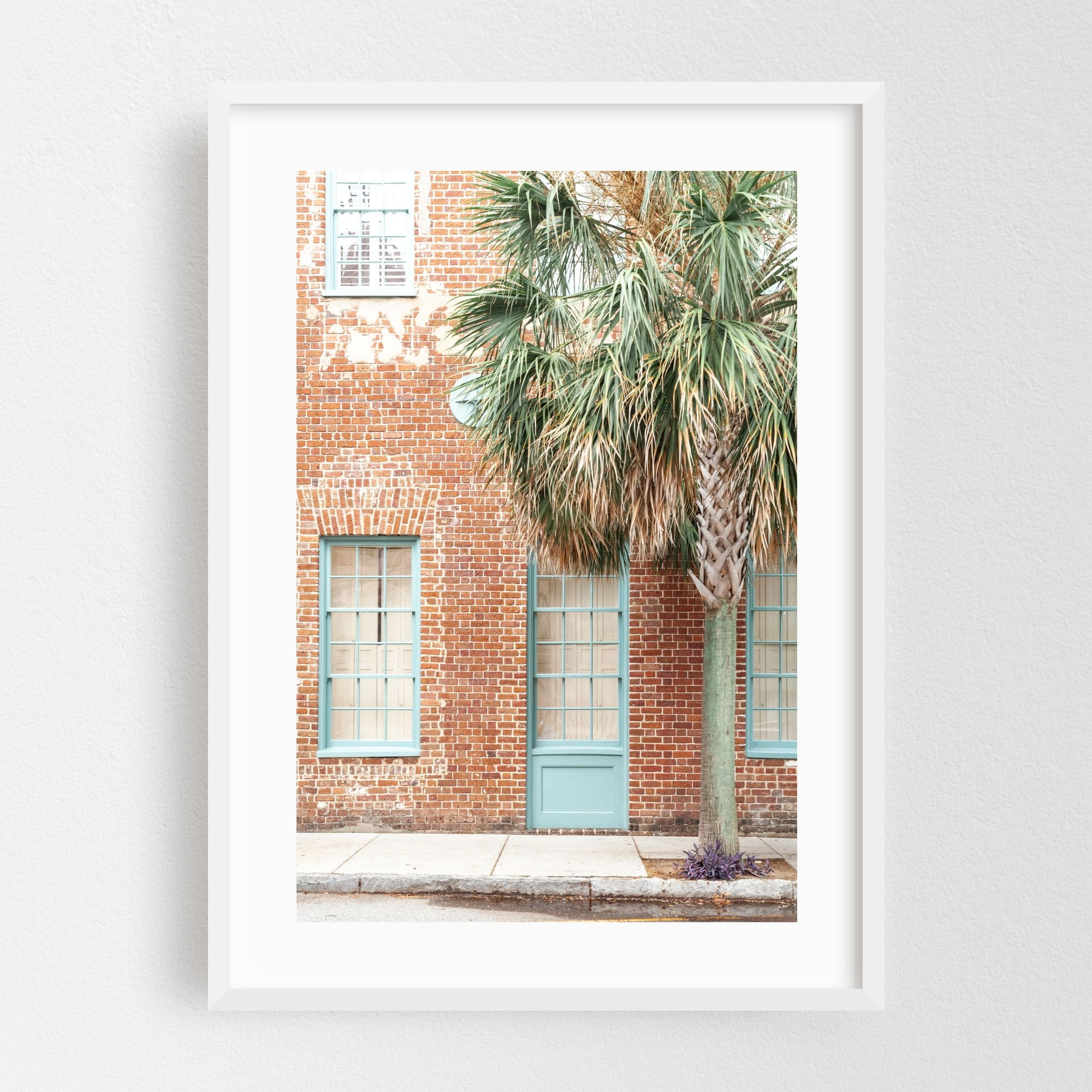Palmetto on Brick - Photography Architecture Palm Tree Rustic Coastal ...