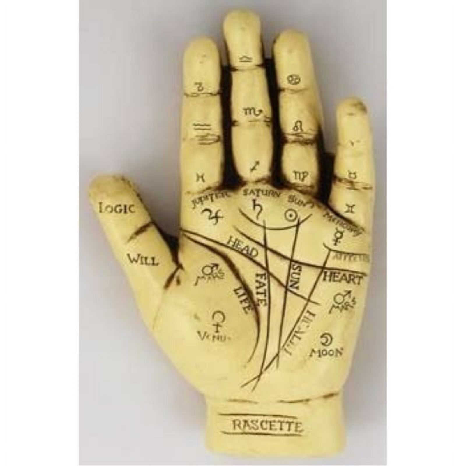 Palmistry Hand Kit: Halloween Holiday Prop Includes 15-Page Booklet ...