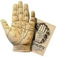 Palmistry Hand Model Resin Sculpture Fortune Telling Palm Reading with ...