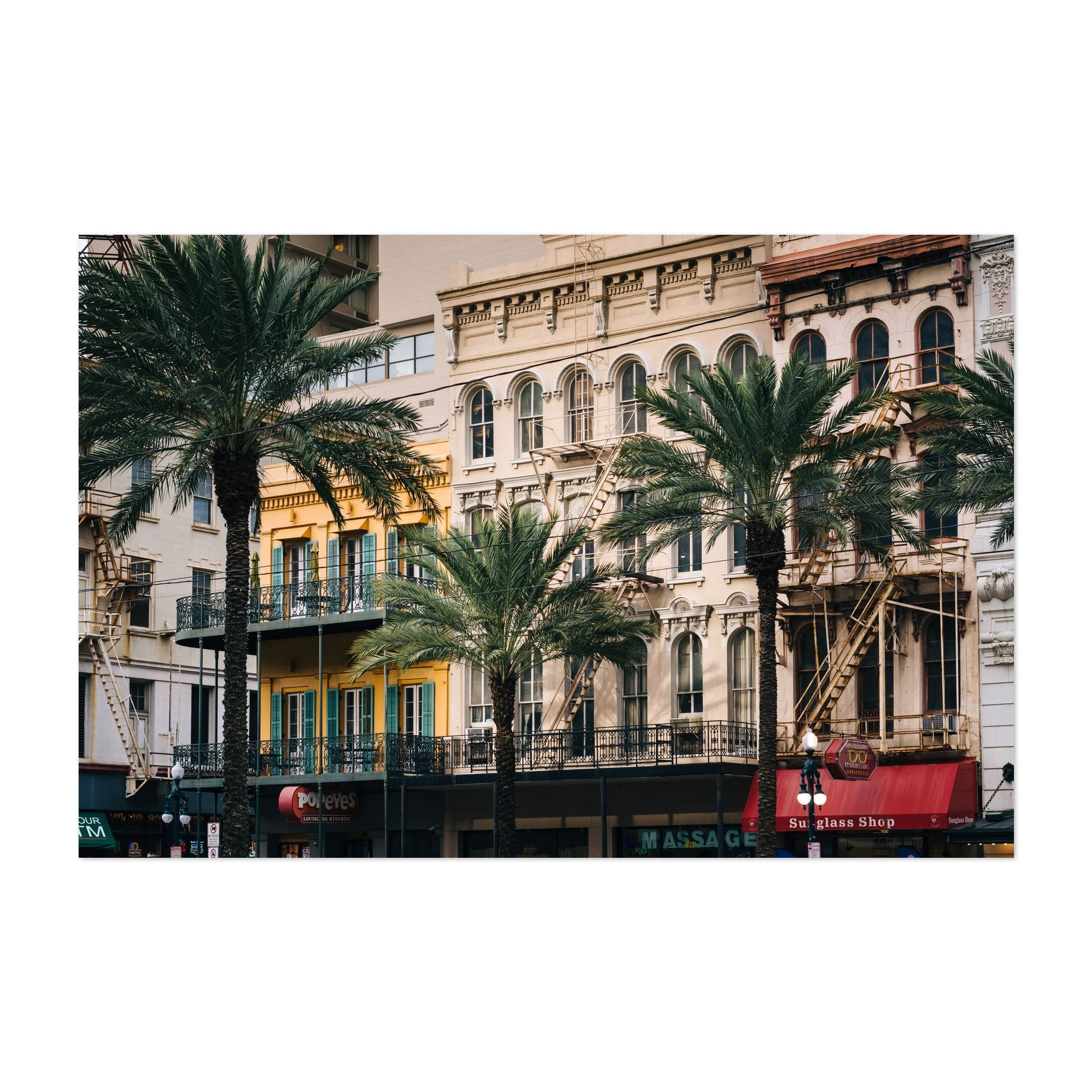 Palms on Canal - New Orleans Louisiana Photography Architecture City ...