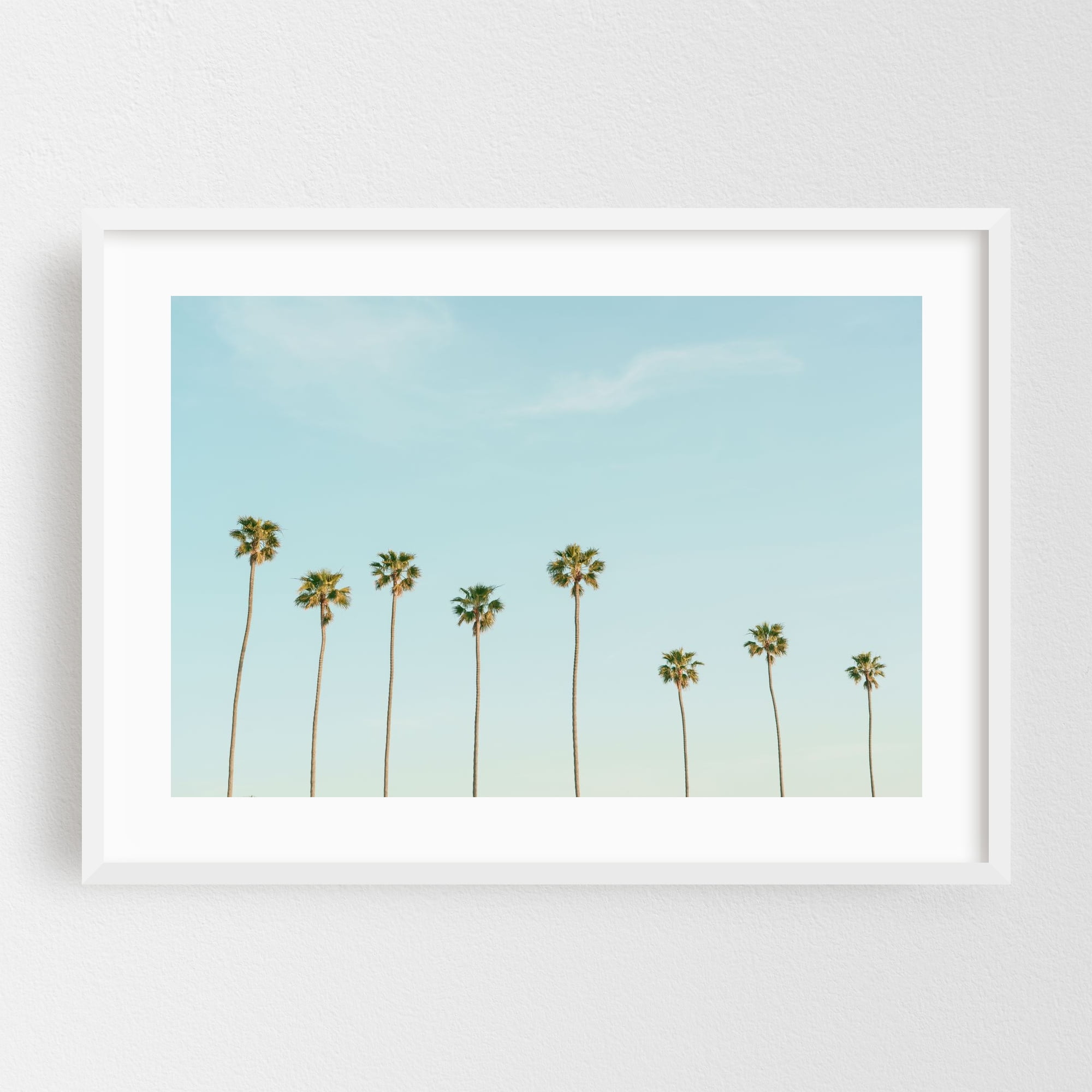 Palms in Corona Del Mar - Newport Beach California Photography Palm Tree Minimalist Tropical ...