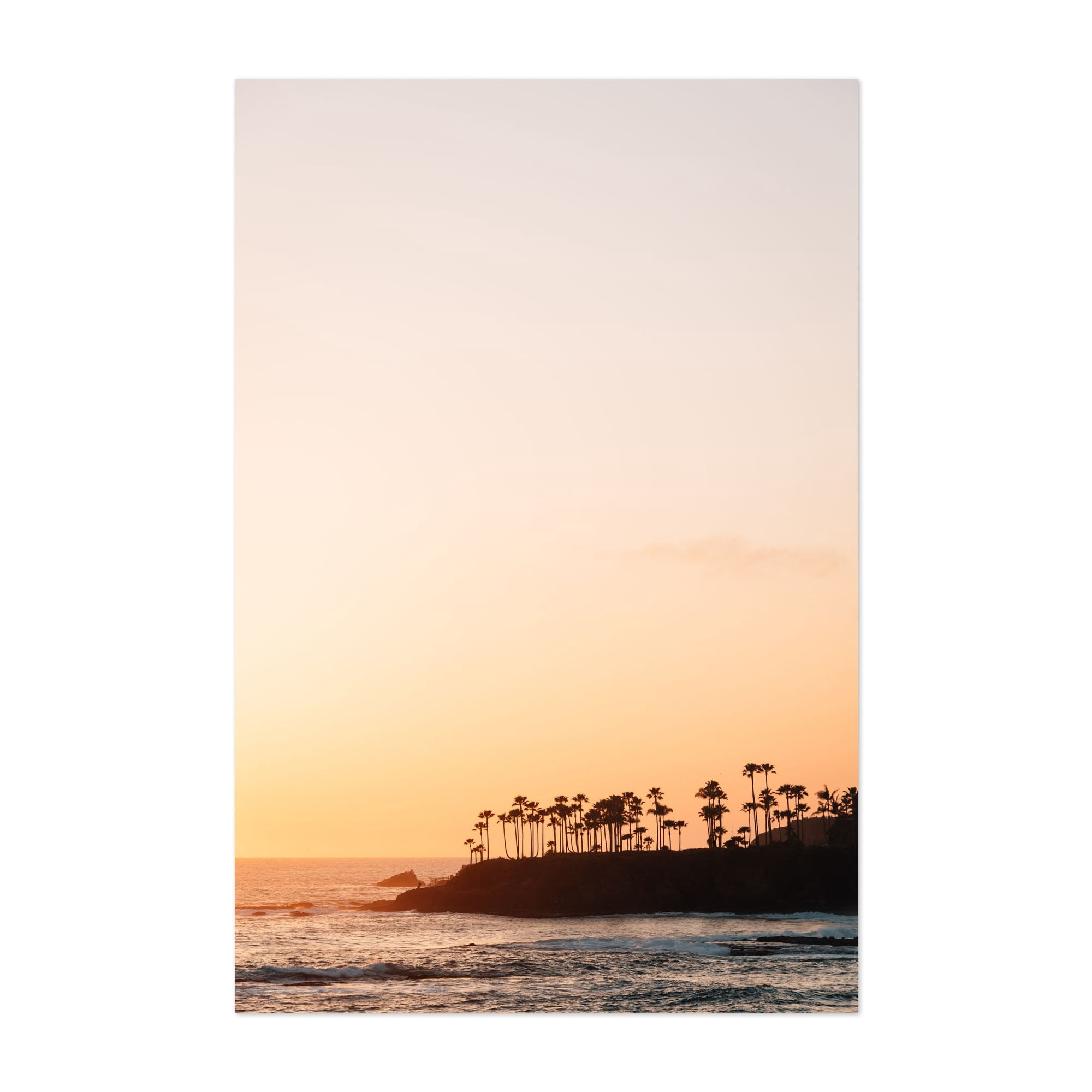Palms, Crescent Point - Laguna Beach California Photography Sunset Palm ...