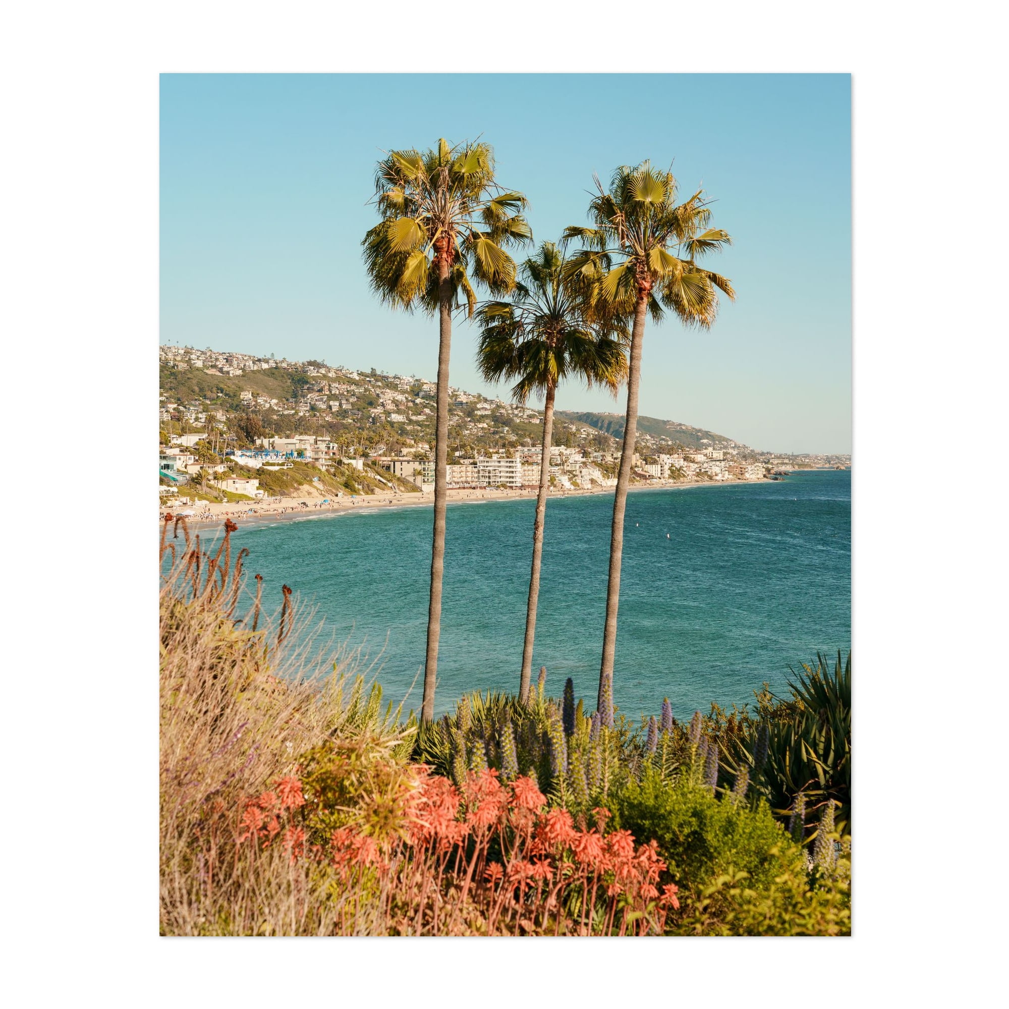 Palms at Heisler Park, Laguna Beach 01 - Laguna Beach California ...
