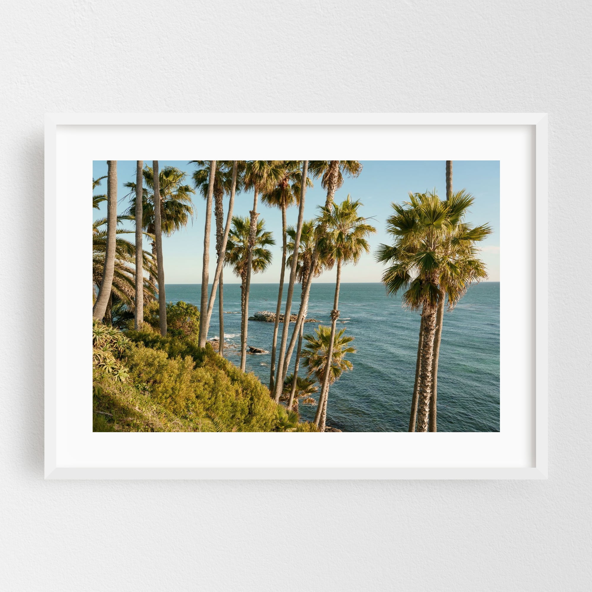 Palms at Heisler Park, Laguna Beach 02 - Laguna Beach California ...