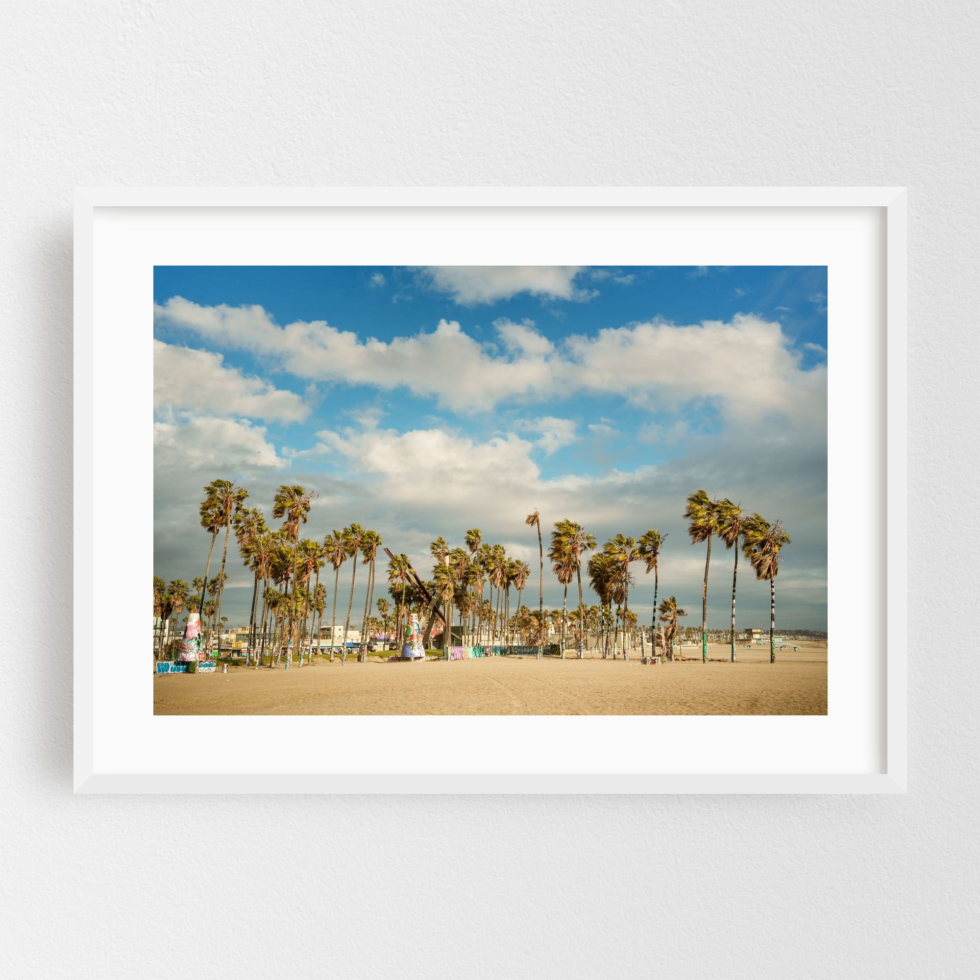 Palms on Venice Beach, Los Angeles - Los Angeles California Photography ...