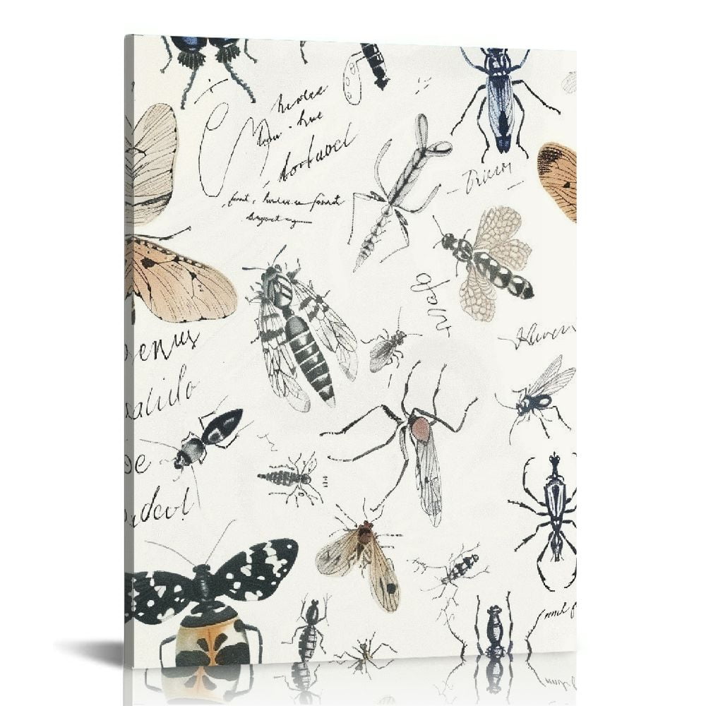 Palnkart Bugs Insects Wallpaper Fine Art Aesthetic Poster & Print for ...