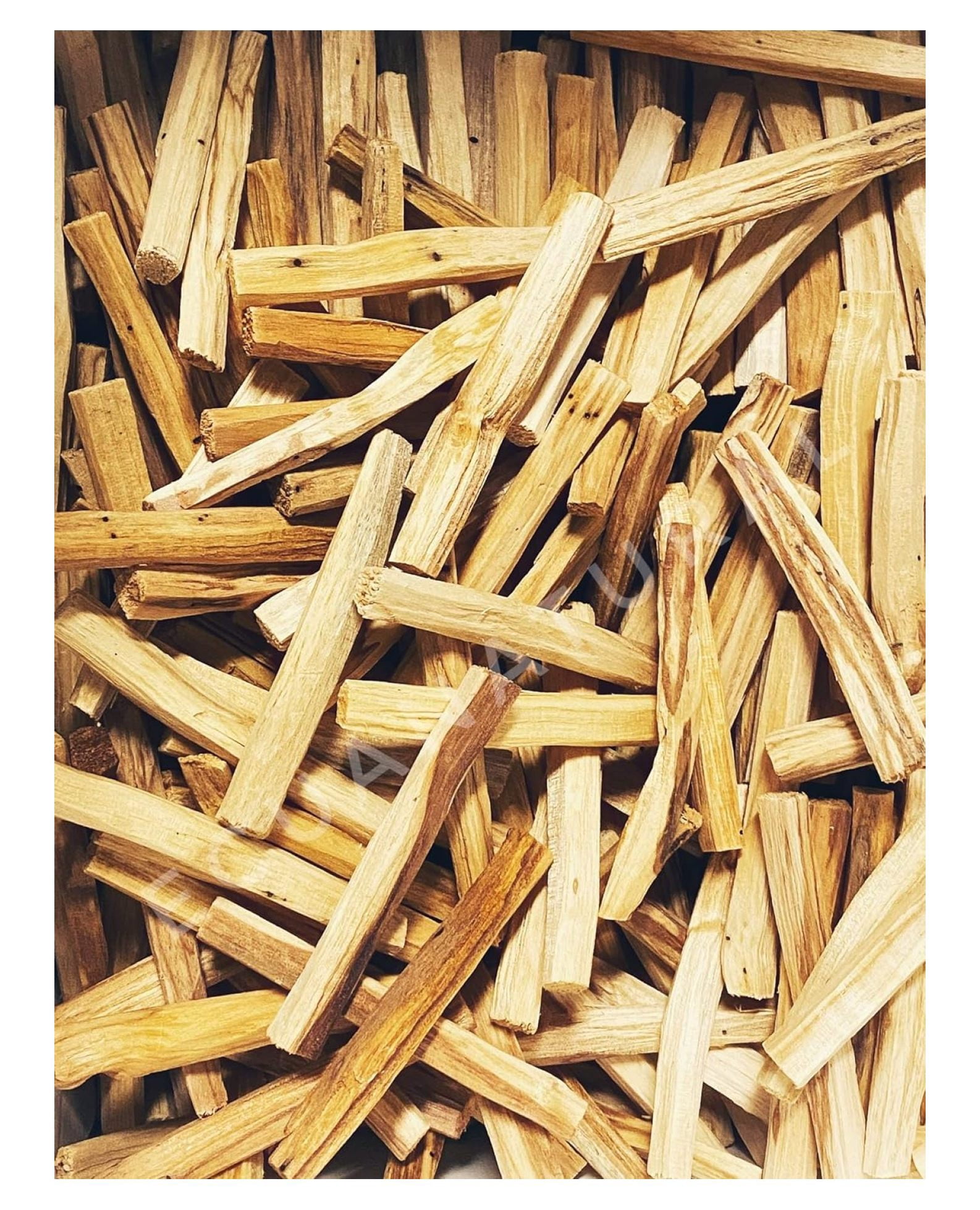 Palo Santo Ecuadorian Holy Wood Sticks - 100 Sticks(4+inches Long ...