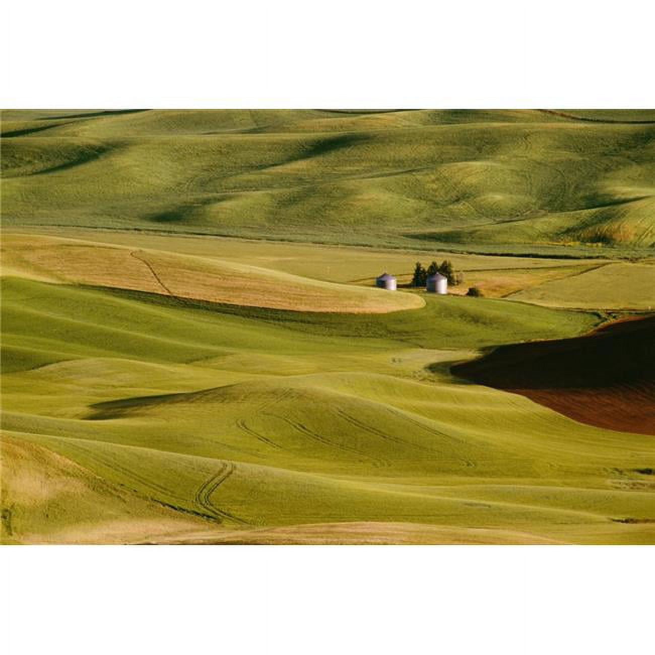 Palouse Fields Whitman County Washington USA Poster Print - Walmart.com
