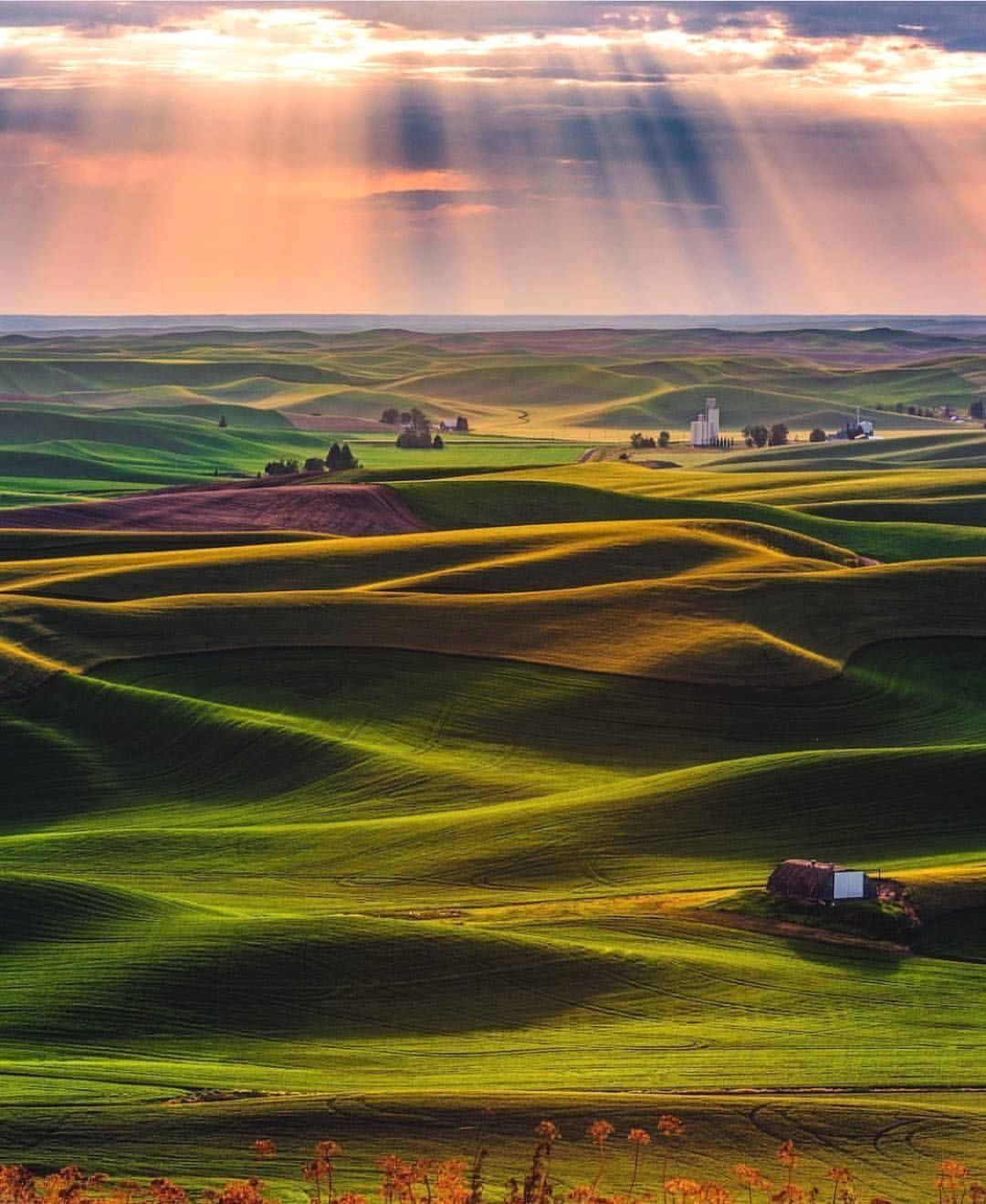 Palouse Wall Art Light and Shadows on The Rolling Hills of The Palouse ...