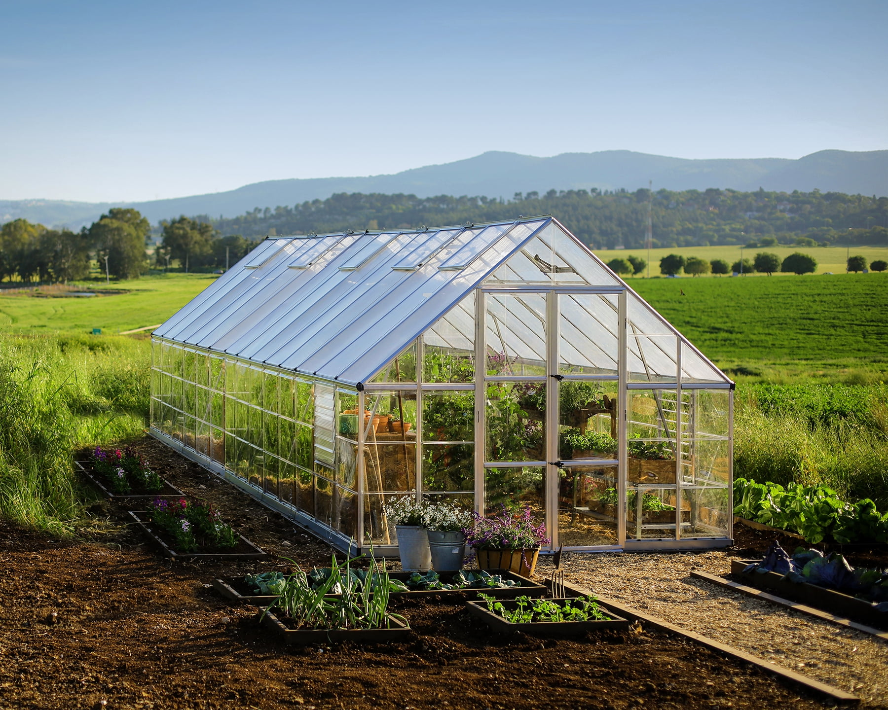 Palram Canopia Balance 10'x32' Polycarbonate Aluminum Greenhouse ...