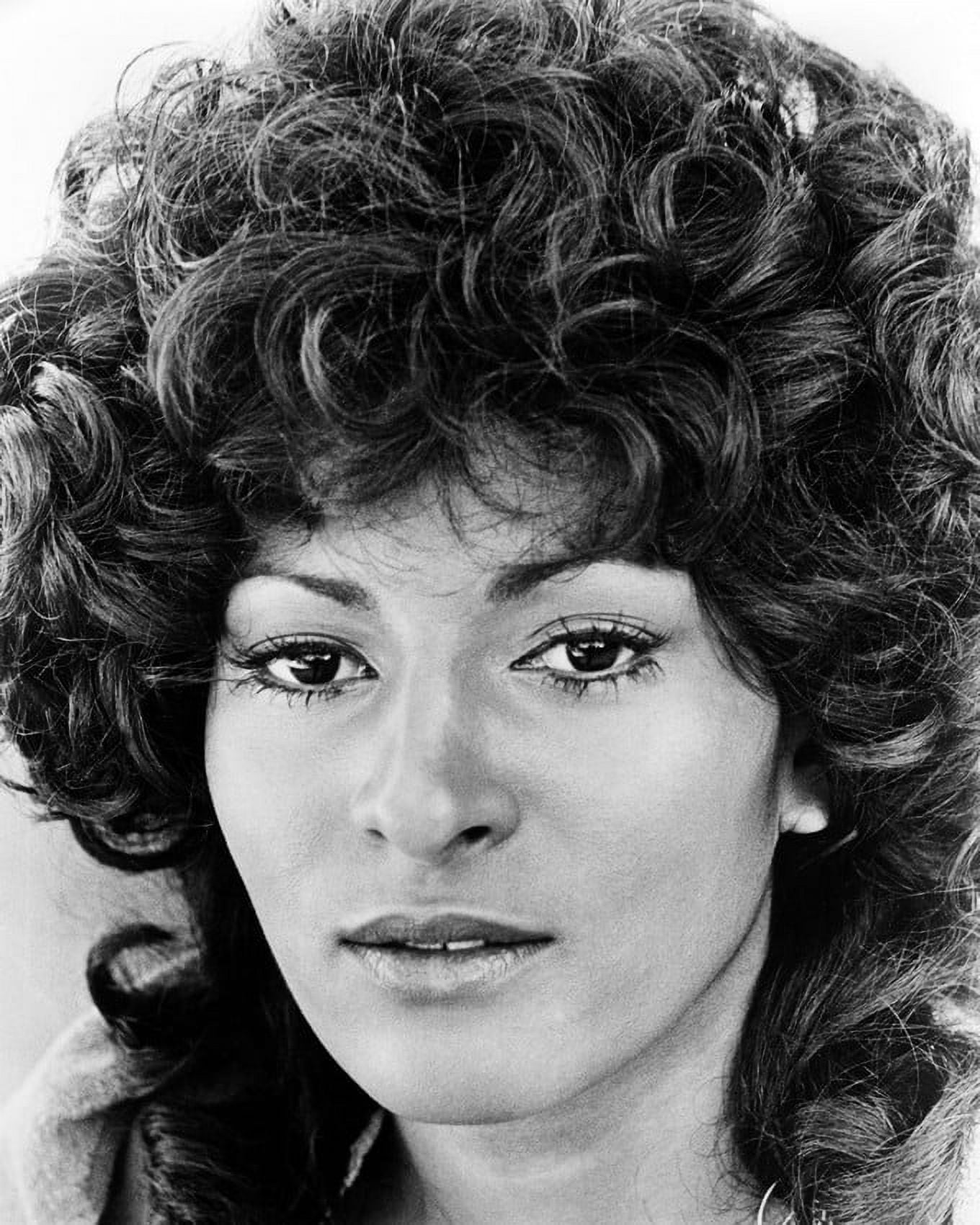Pam Grier 24X36 Classic Hollywood Poster Classic 1970's Portrait ...