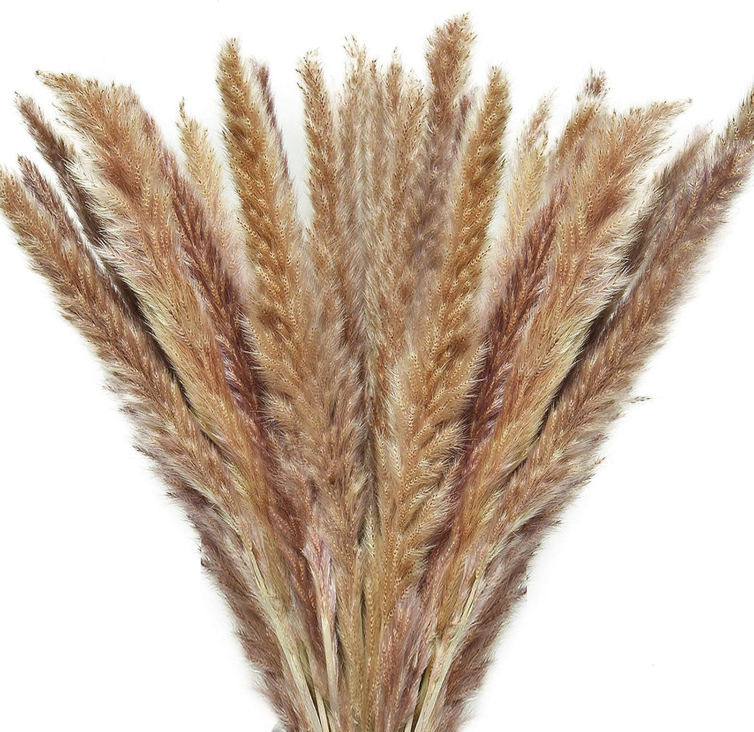 Pampas Grass Bouquet, Natural Dried Pampas Grass In Purple, Wedding ...
