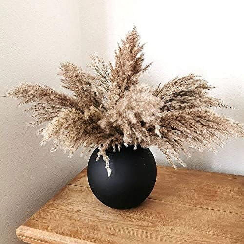 Pampas Grass, Pompous, Dried Pampas Plants, Fluffy Pompas Grasses, 30 ...