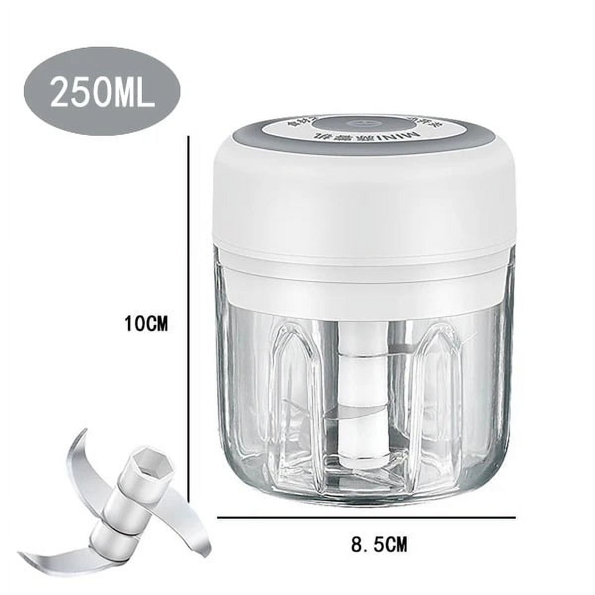 PanBiqintyy Electric Mini Garlic Mincer 100/250ML USB Vegetable Onion ...