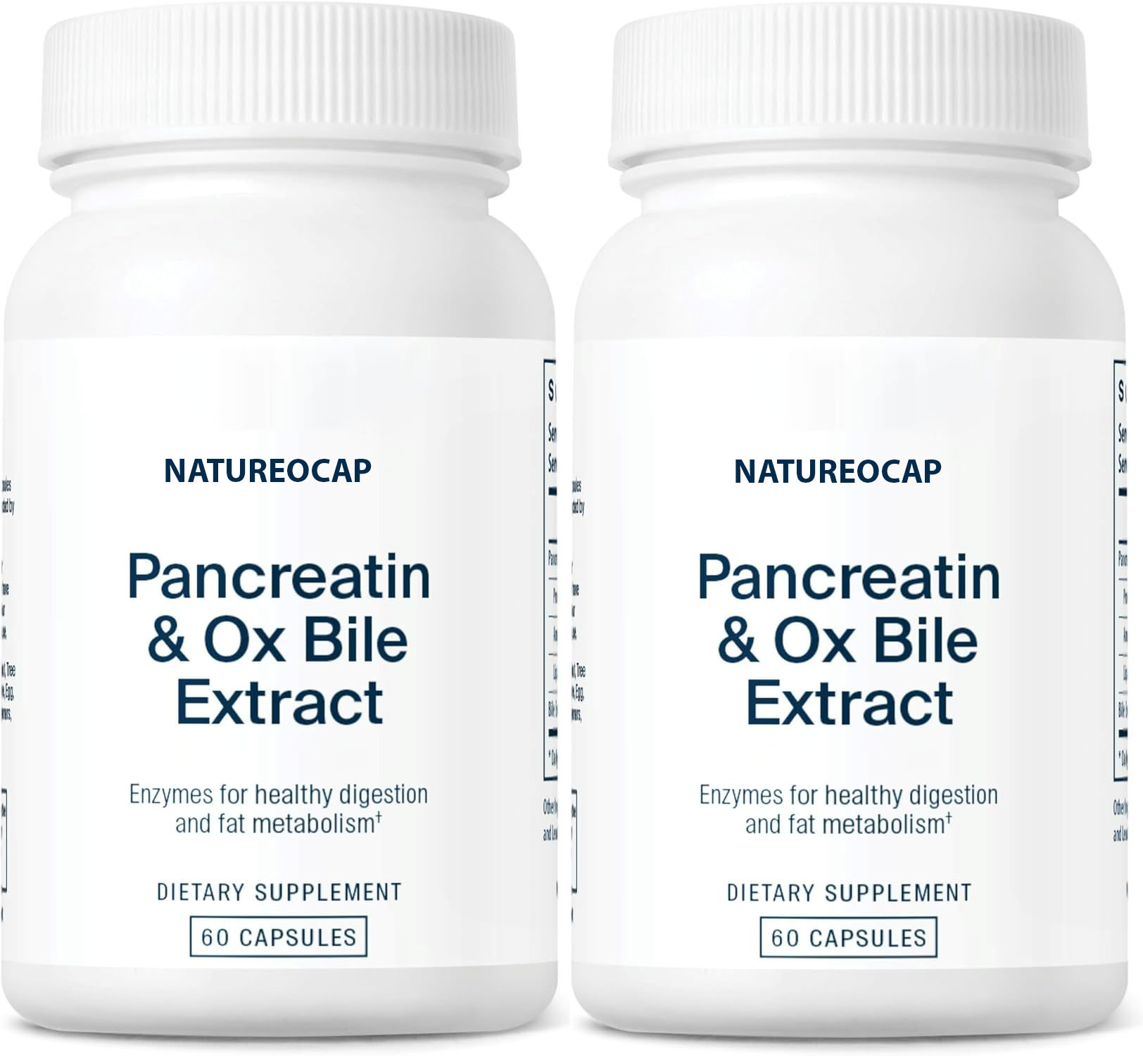 PanCreatin& Ox Bile Extract For Healthy Digestion And Metabolism -60 ...