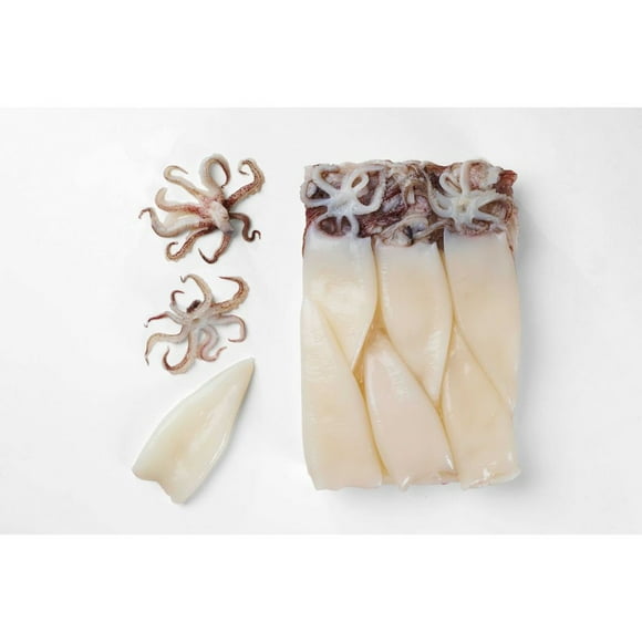 Shop Dried Squid Products for Delicious Seafood Snacks and More