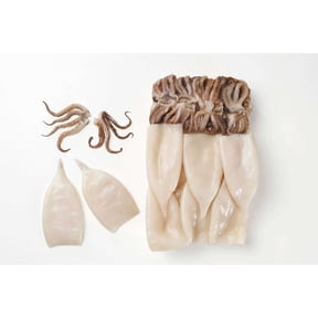 Frozen Squid