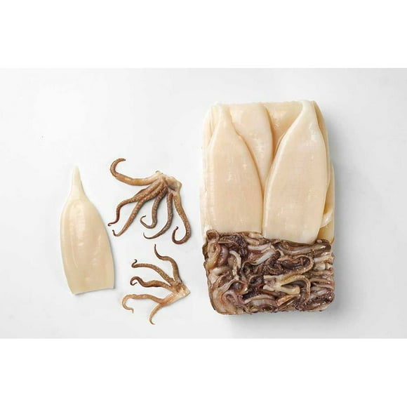 Shop Dried Squid Products for Delicious Seafood Snacks and More