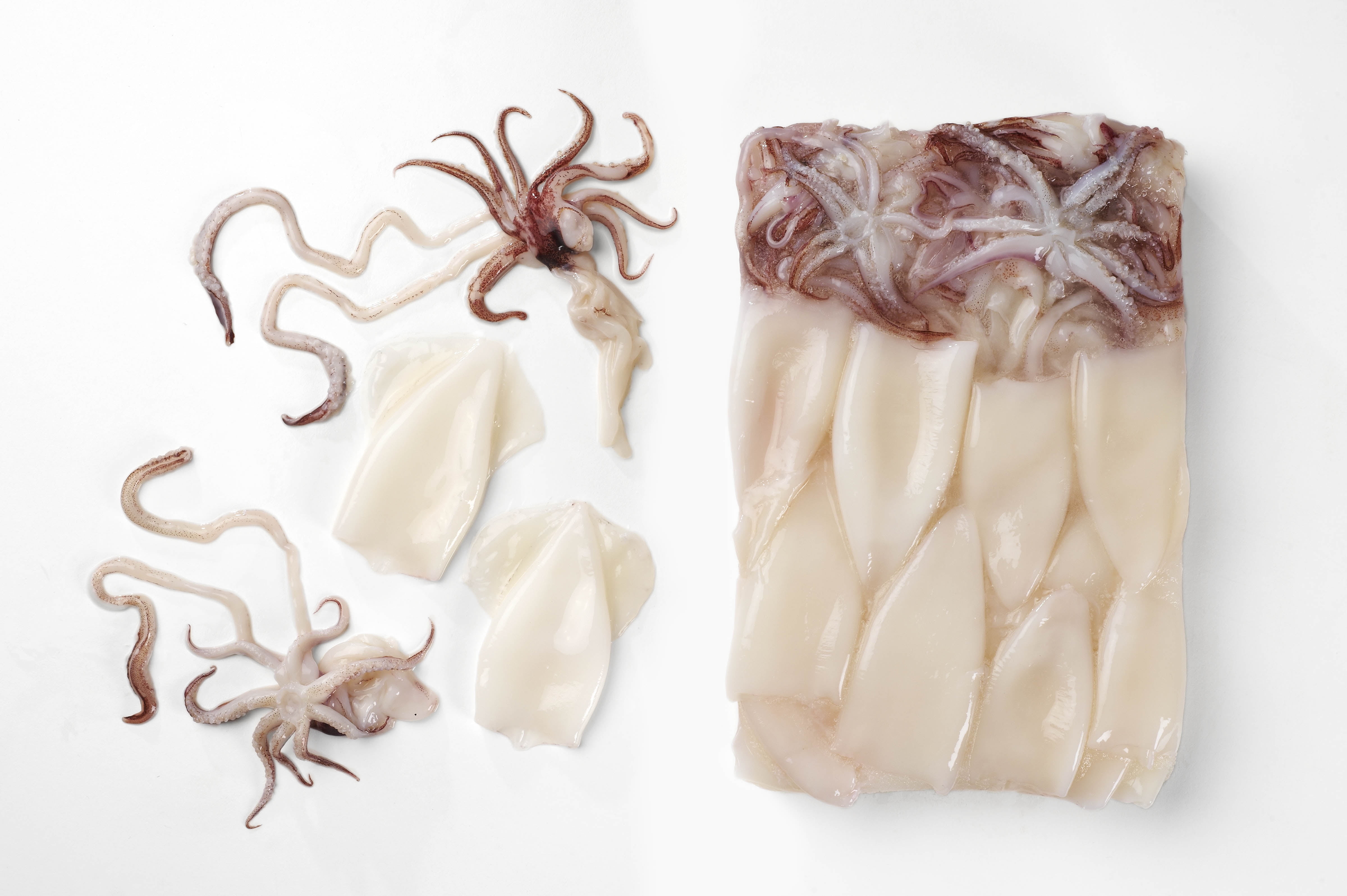 Pana Pesca Cleaned Squid Tubes & Tentacles, 3-5 inch, 2.5 Pound - Pack ...