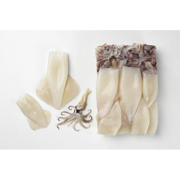 Shop Dried Squid Products for Delicious Seafood Snacks and More