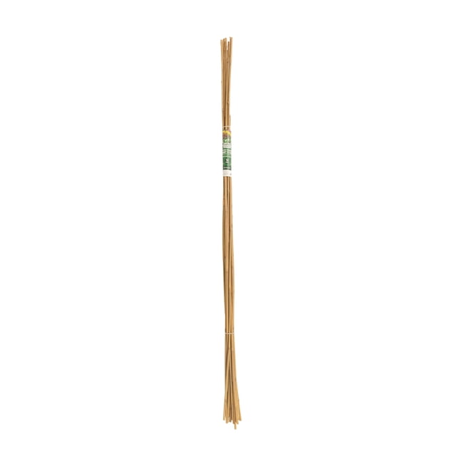 Panacea 5 Foot Bamboo Garden Stakes, Plant Support Stakes, 12 Pack ...