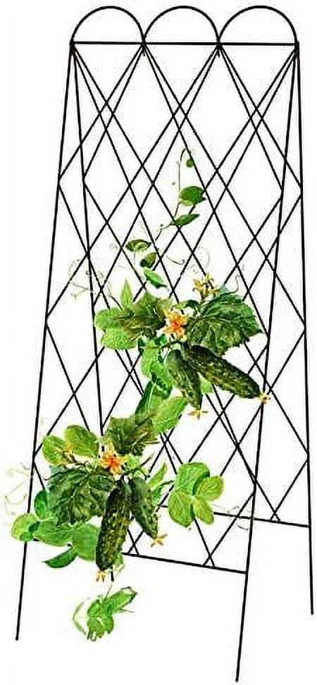 Panacea 90140 Rustic Heirloom Folding Trellis, Brown, 60" H - Walmart.com