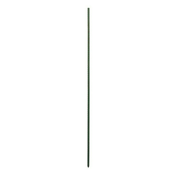 Tomato Stakes 6ft