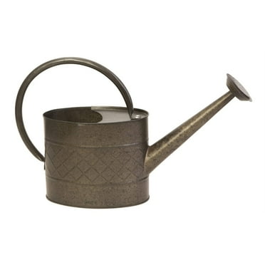 Panacea Products-Vintage Galvanized Watering Can With Wood Handle ...