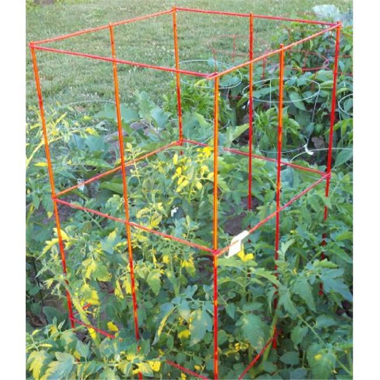 Panacea Products 89764TV Tomato Cage, 4-Panel, Heavy-Duty, Red Steel ...