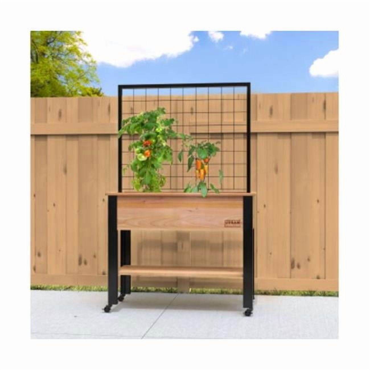 Panacea Products A77 81483 Cedar Elevated Planter - Walmart.com