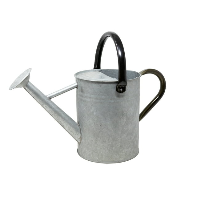 Panacea Products-Aged Galvanized Watering Can- Galvanized 1 Gallon ...