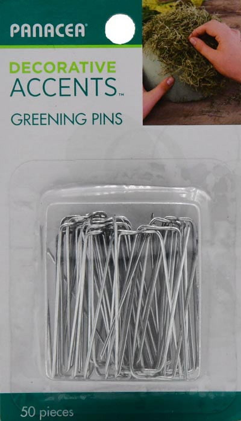 Panacea Products Greening Pins, 4.75" long, Floral Arranging Supplies ...