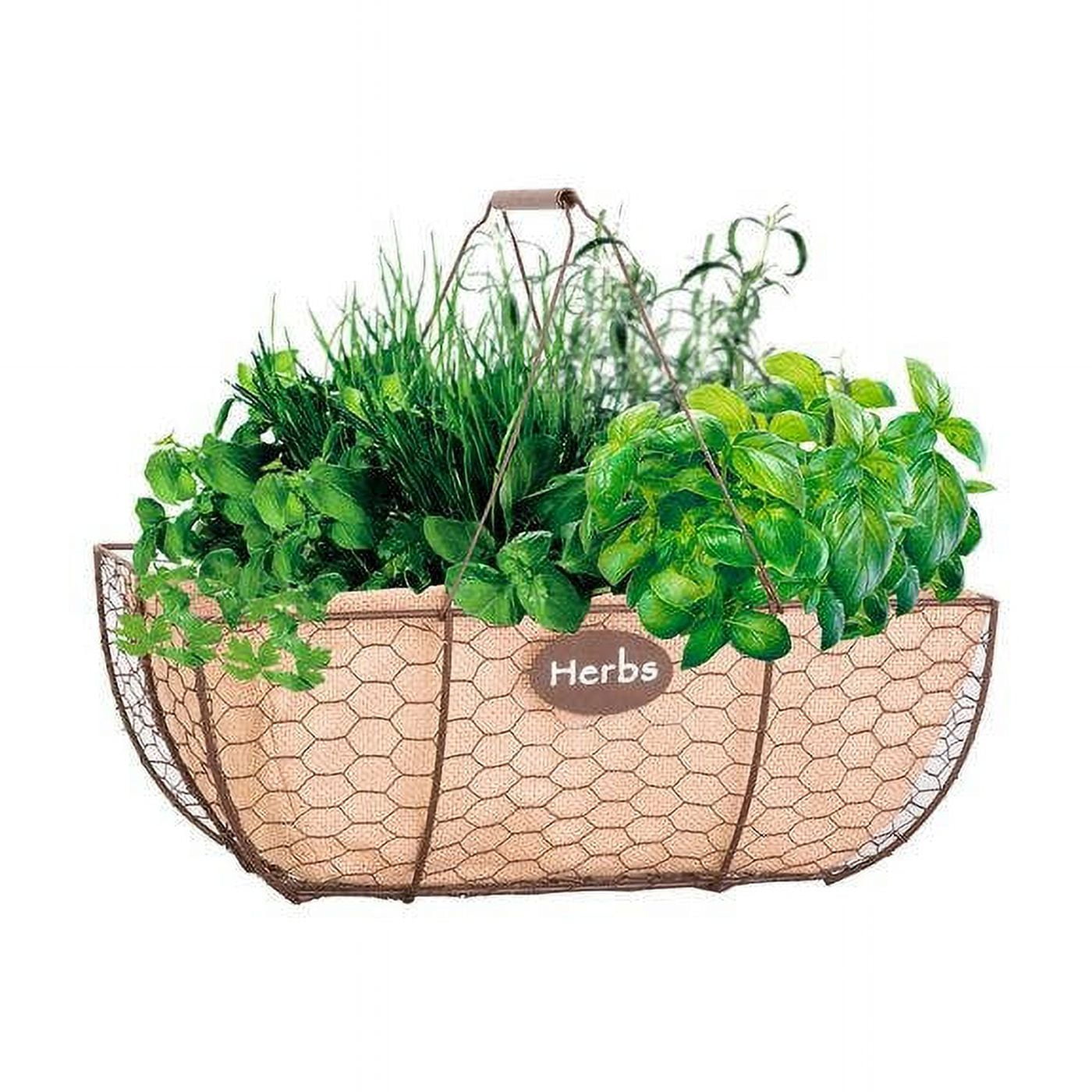 Panacea Rustic Herb Basket with Burlap Liner - Walmart.com