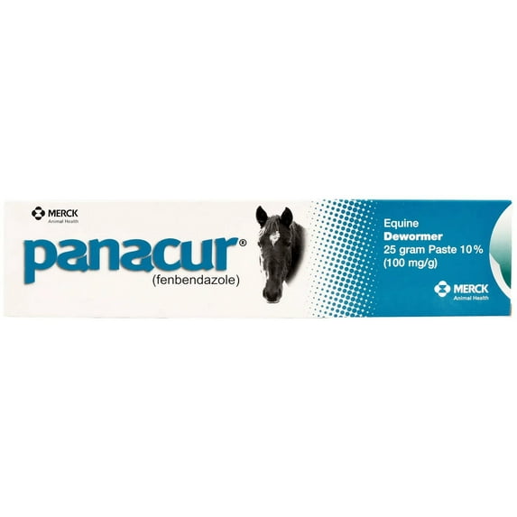 Merck Panacur Horse Dewormer Paste 10% Fenbendazole, Treats Strongyles ...