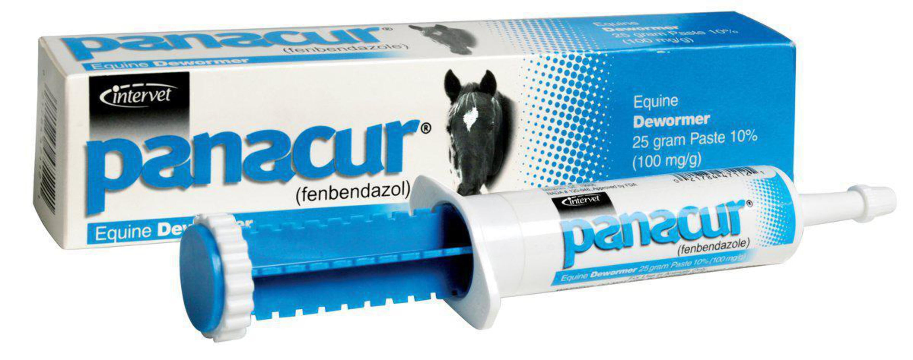 Panacur 10% Horse Dewormer Paste, Equine Medicine, 25g - Walmart.com