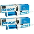 Panacur Equine Paste 10% Horse Wormer 100mg 2-Pack - Walmart.com