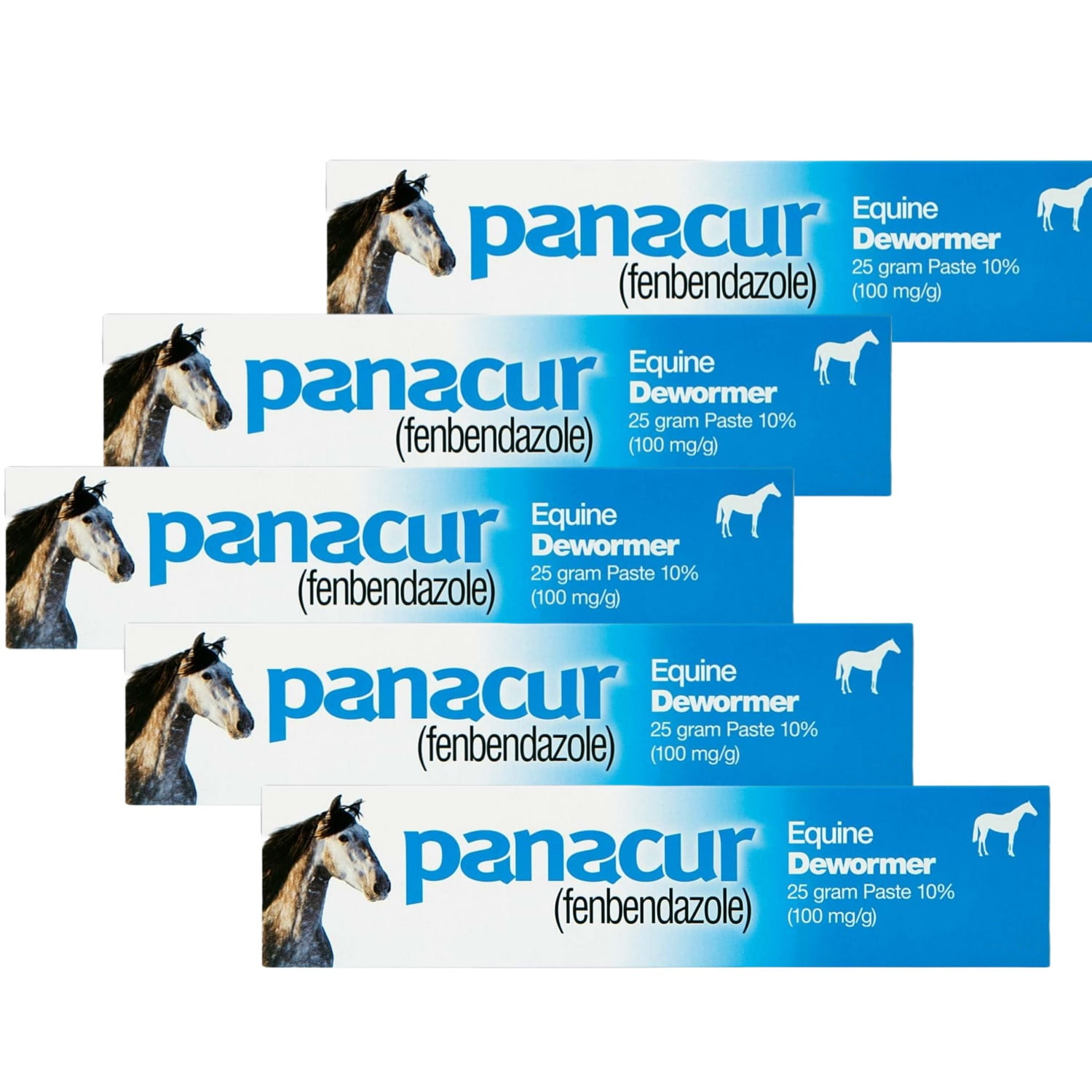 PanacurEquine Dewormer Paste (100mg/g) - Gentle Formula for Adult Horse ...
