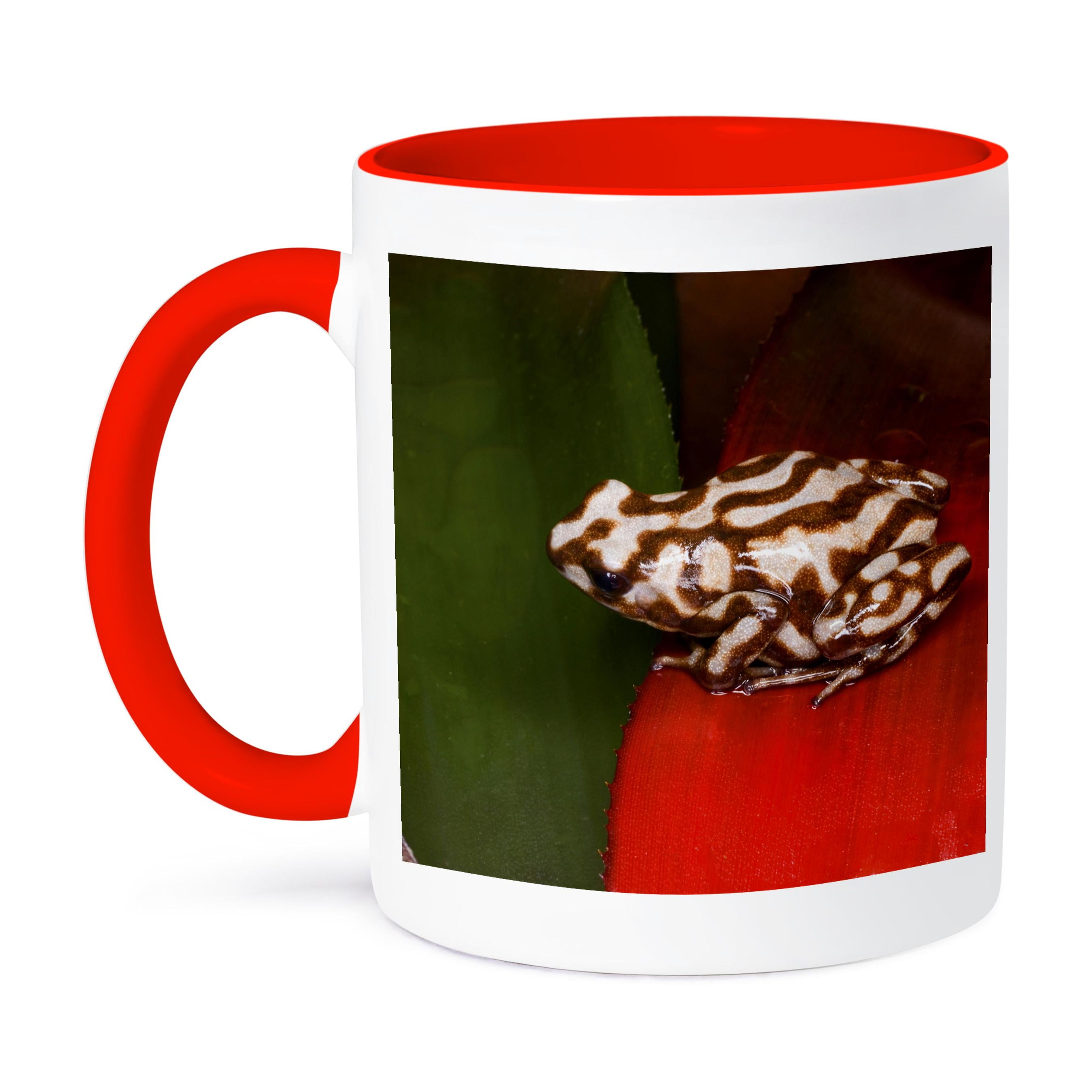 Panama. Poison Dart Frog On Red Leaf - Sa15 Bja0015 - Jaynes Gallery ...