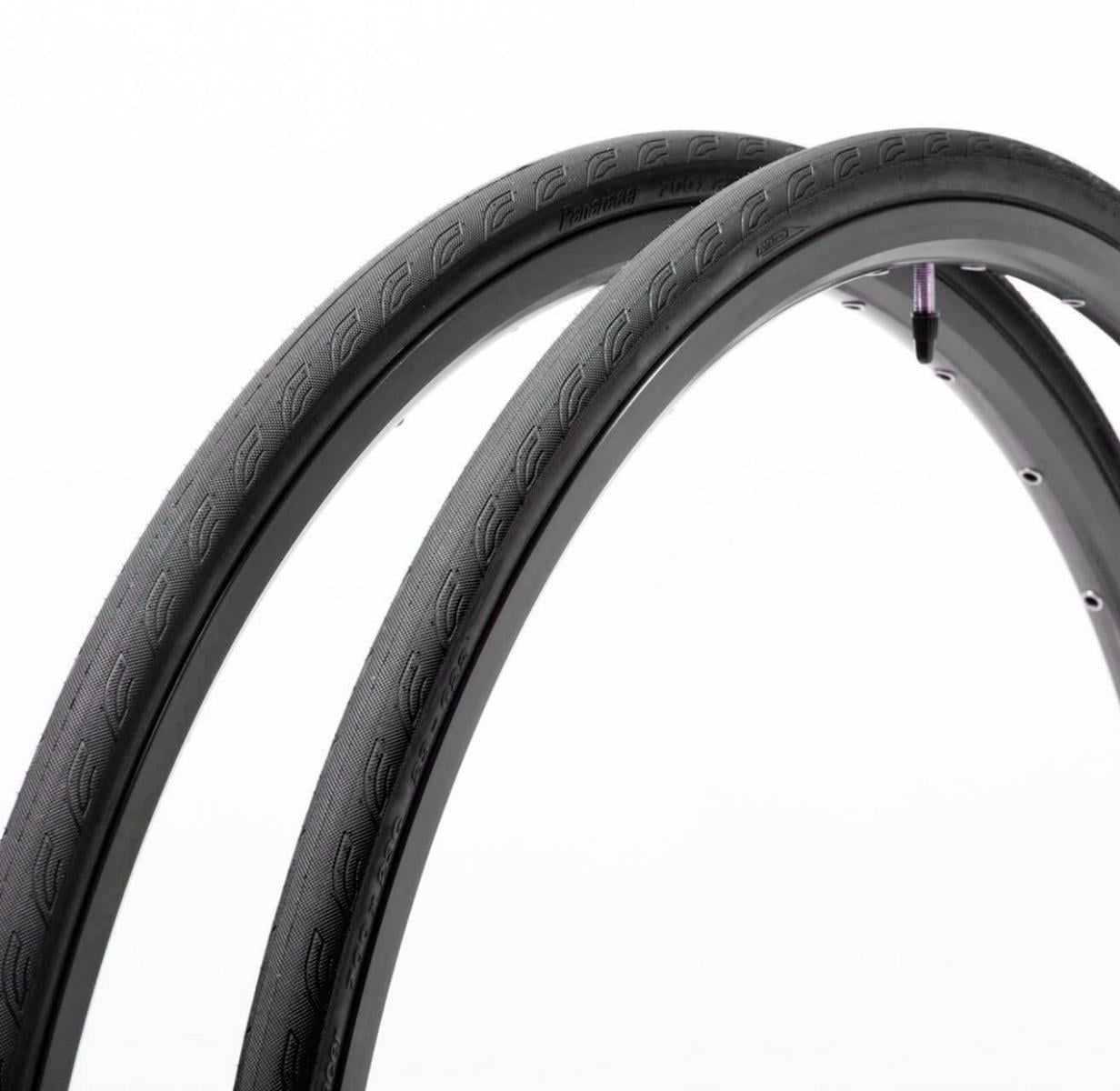 Panaracer Catalyst Sport 700 x 25 cm Wire Bead Tire, Black - Walmart.com