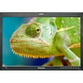 Panasonic BT-LH2550 26" Widescreen HD-SD LCD Video Monitor - Walmart.com
