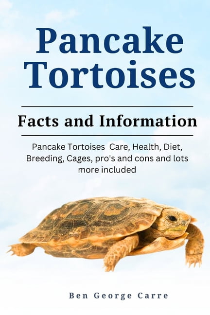 Pancake Tortoises: Pancake Tortoises Care, Health, Diet, Breeding ...