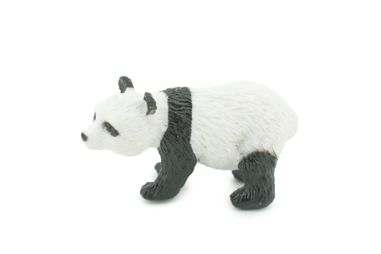 Panda, Ailuropoda melanoleuca, Panda bear, Hand Painted, Educational ...