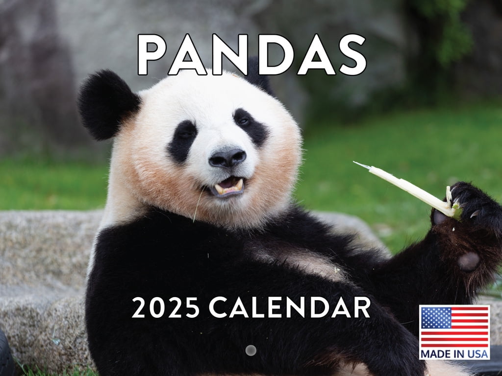 Panda Calendar 2025 Panda Gifts Monthly Wall Calender 12 Month ...