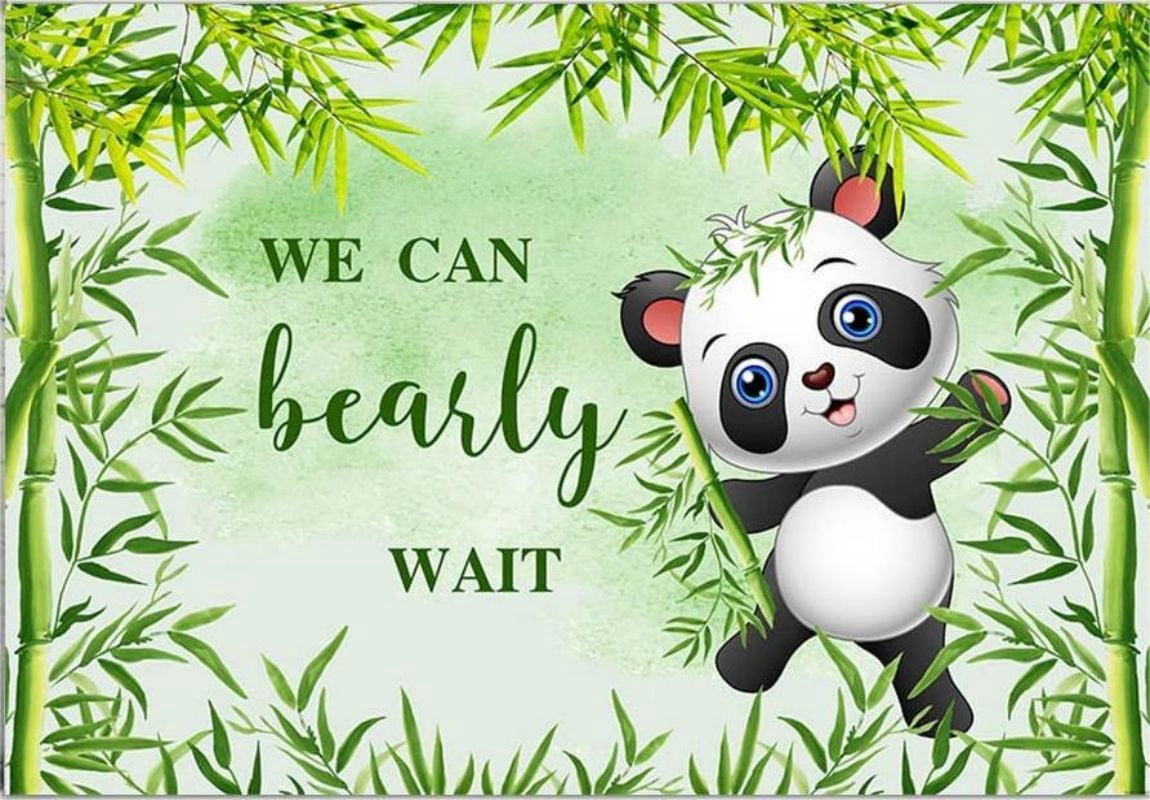 Panda Cute Cartoon Bamboo Zoo Background ration Custom Birthday ...