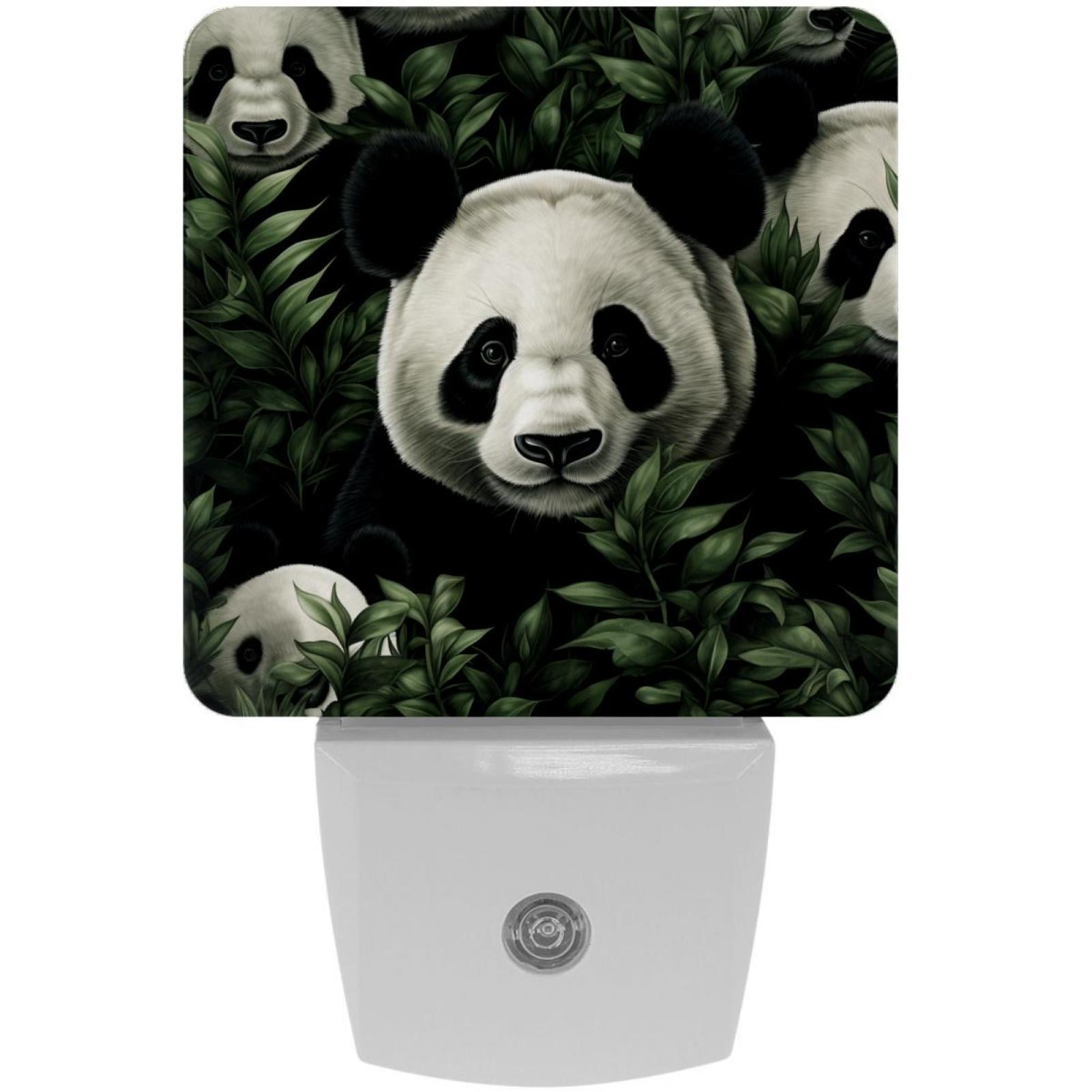 Panda LED Square Night Lights - Energy Efficient and Contemporary ...