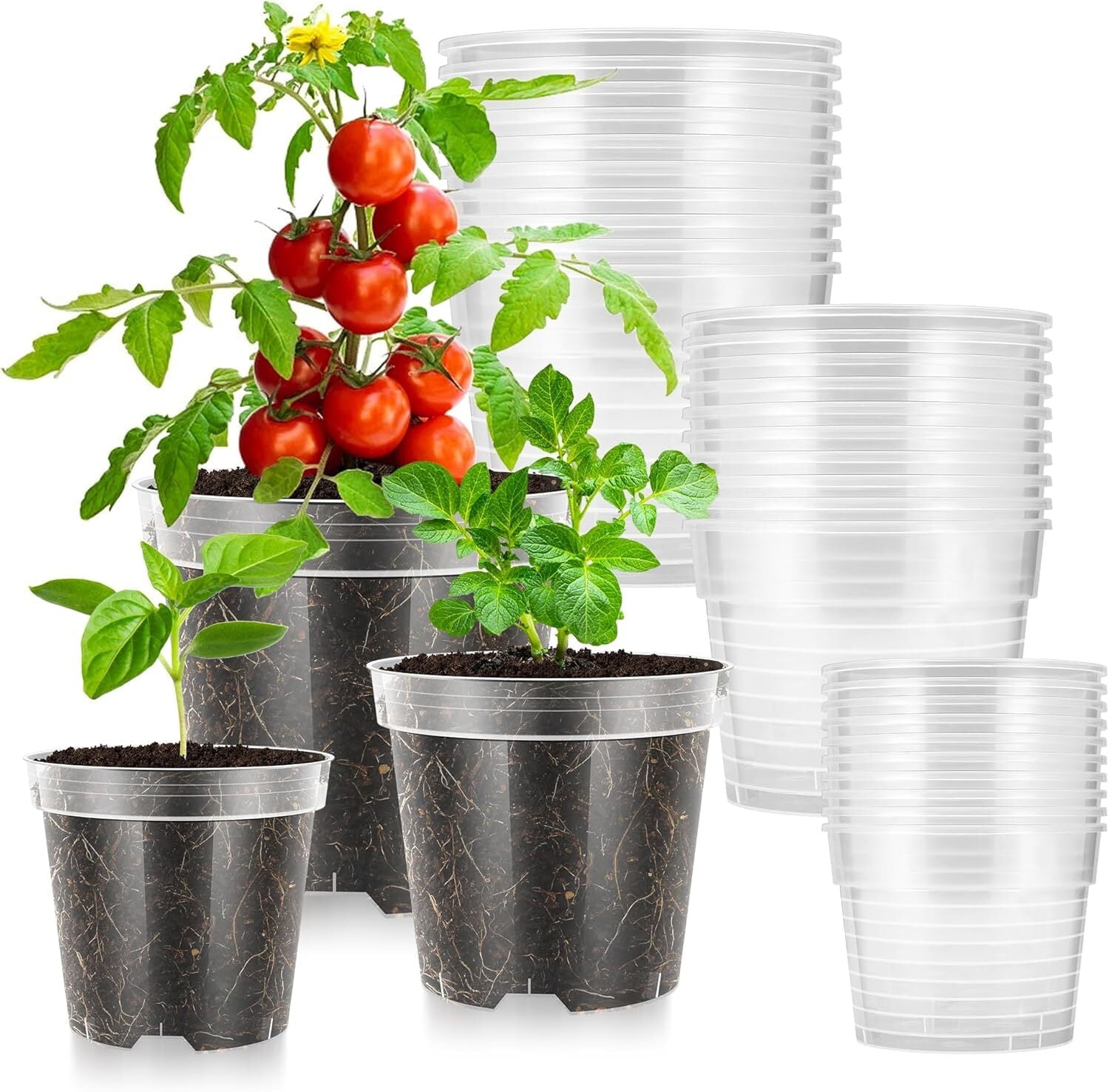 PandaTop 4/5/6.7 Inch Clear Plastic Pots for Plants, Clear Nursery Pots ...